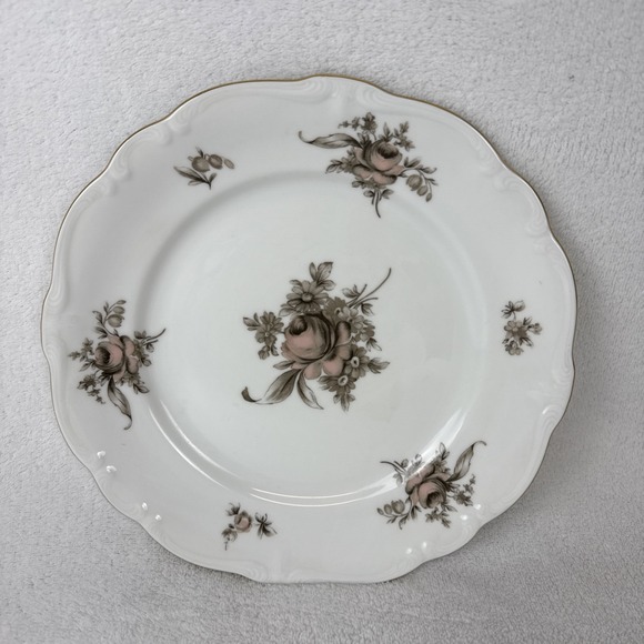 Haviland | Dining | Johann Haviland Bavaria Germany Sepia Rose China ...